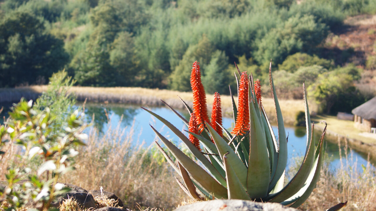 It's Time to Travel | Travel SA Magazine | The Umhlanga Magazine